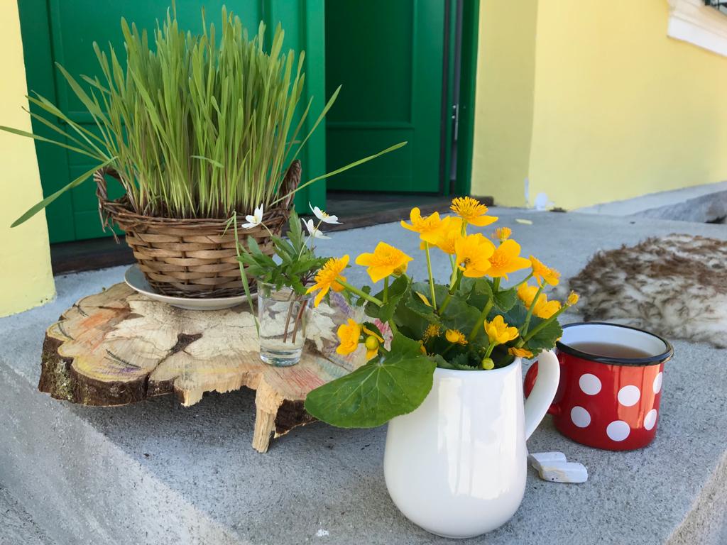 Naše služby :: chalupa Jelenka Šumava